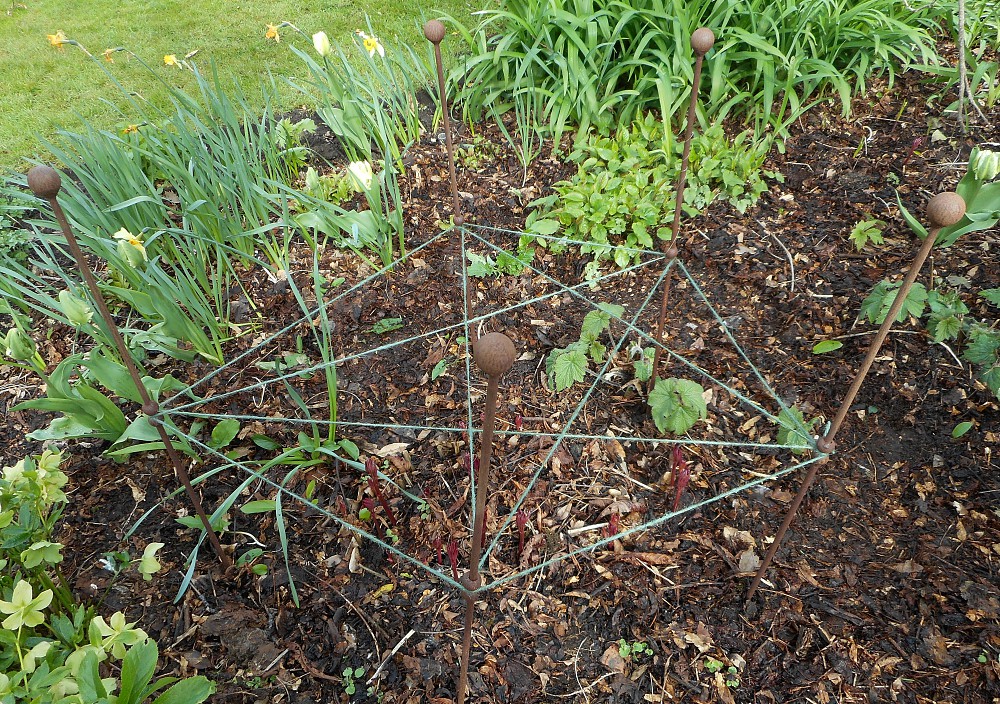 Plant Supports | Heavy-duty Garden Supports | Garden Obelisks | Outdoor ...