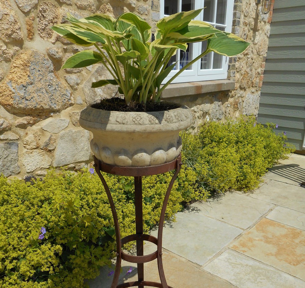 Plant Supports | Heavy-duty Garden Supports | Garden Obelisks | Outdoor ...