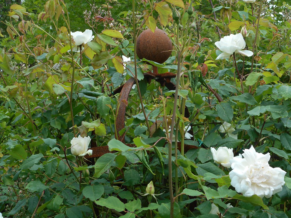 Garden Obelisks | Metal Obelisk Plant Support | Supports 4 Plants